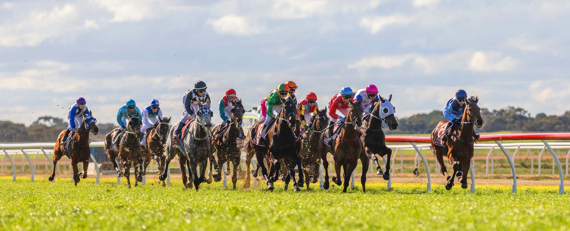 Soak up summer at the Murray Bridge races - Murray River Lakes and Coorong