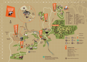 10 reasons your kids will love Monarto Safari Park's wild adventures - Murray River Lakes and ...