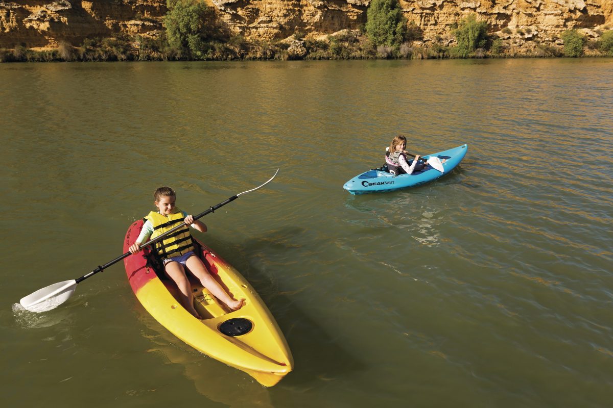 Superslides, monkeys and milkshakes… sounds like the perfect place for ...
