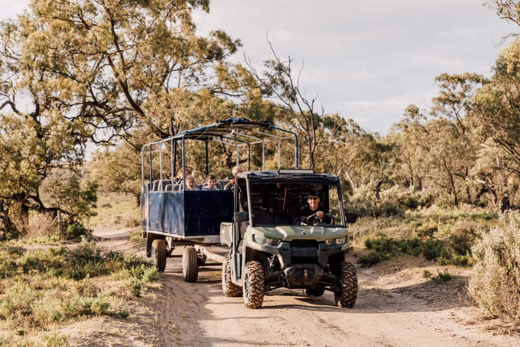 The best astro activities to tick off this October - Murray River Lakes ...