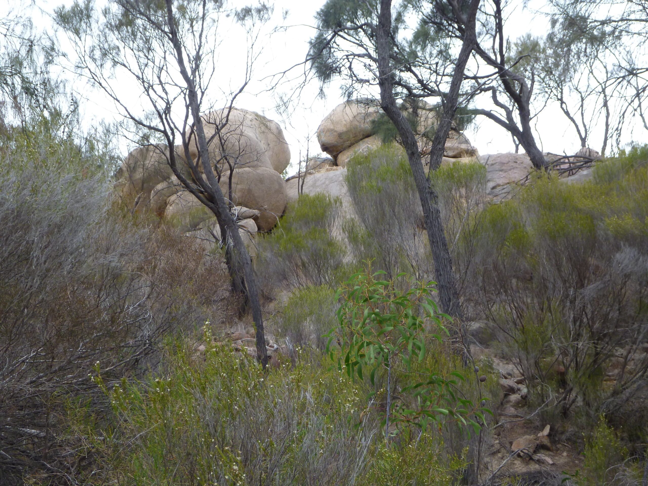Tolmer Rocks - Mount Boothby Conservation Park - Murray River Lakes and ...