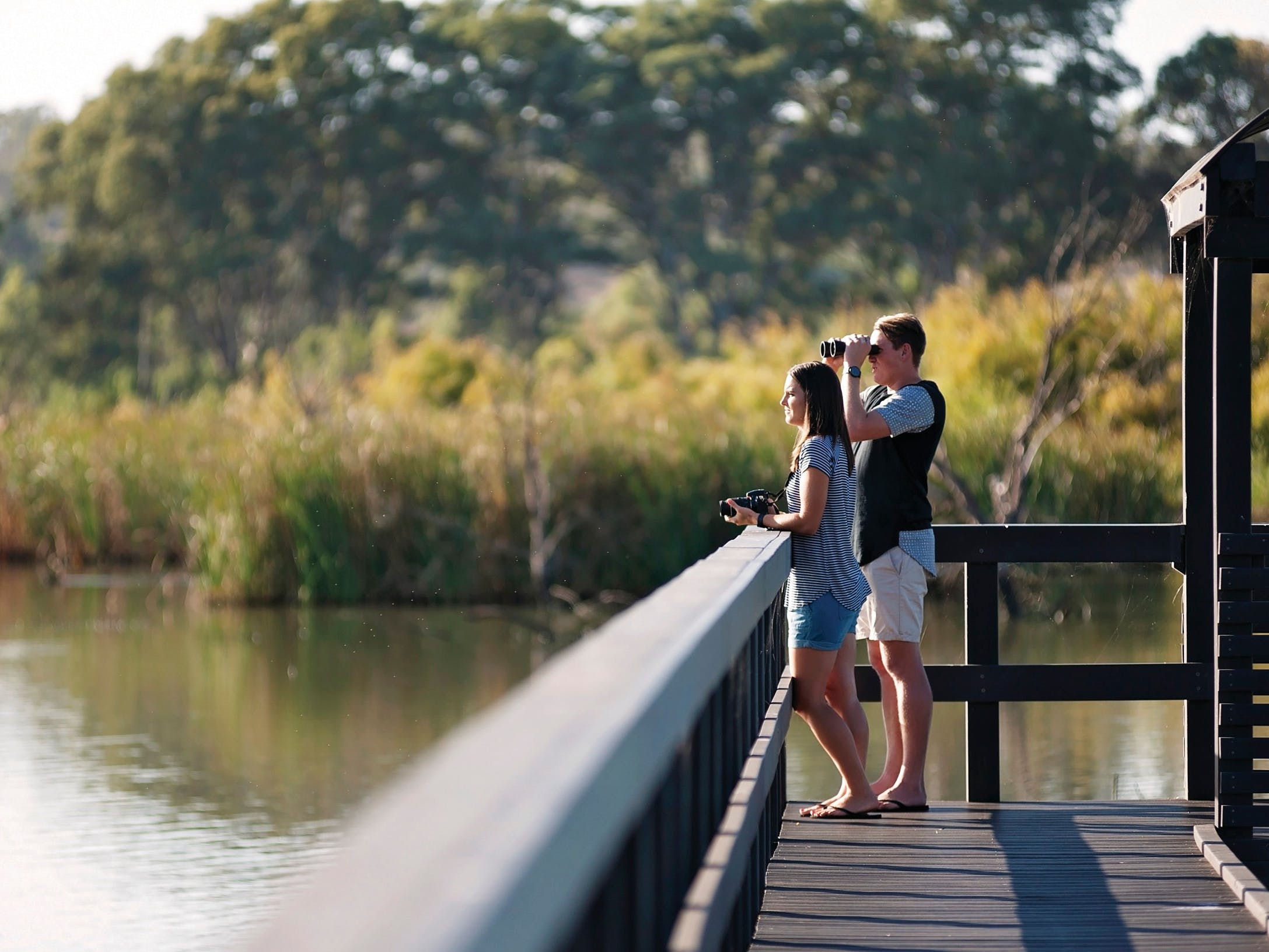 Hermann Gass Bird Sanctuary - Murray River Lakes and Coorong