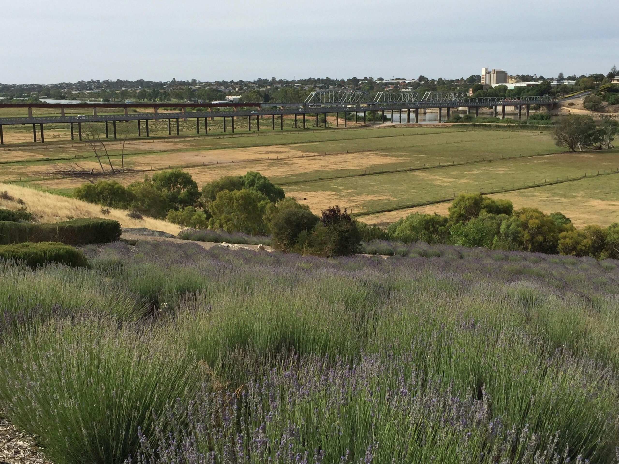 Brayfield Cottage - Murray River Lakes and Coorong