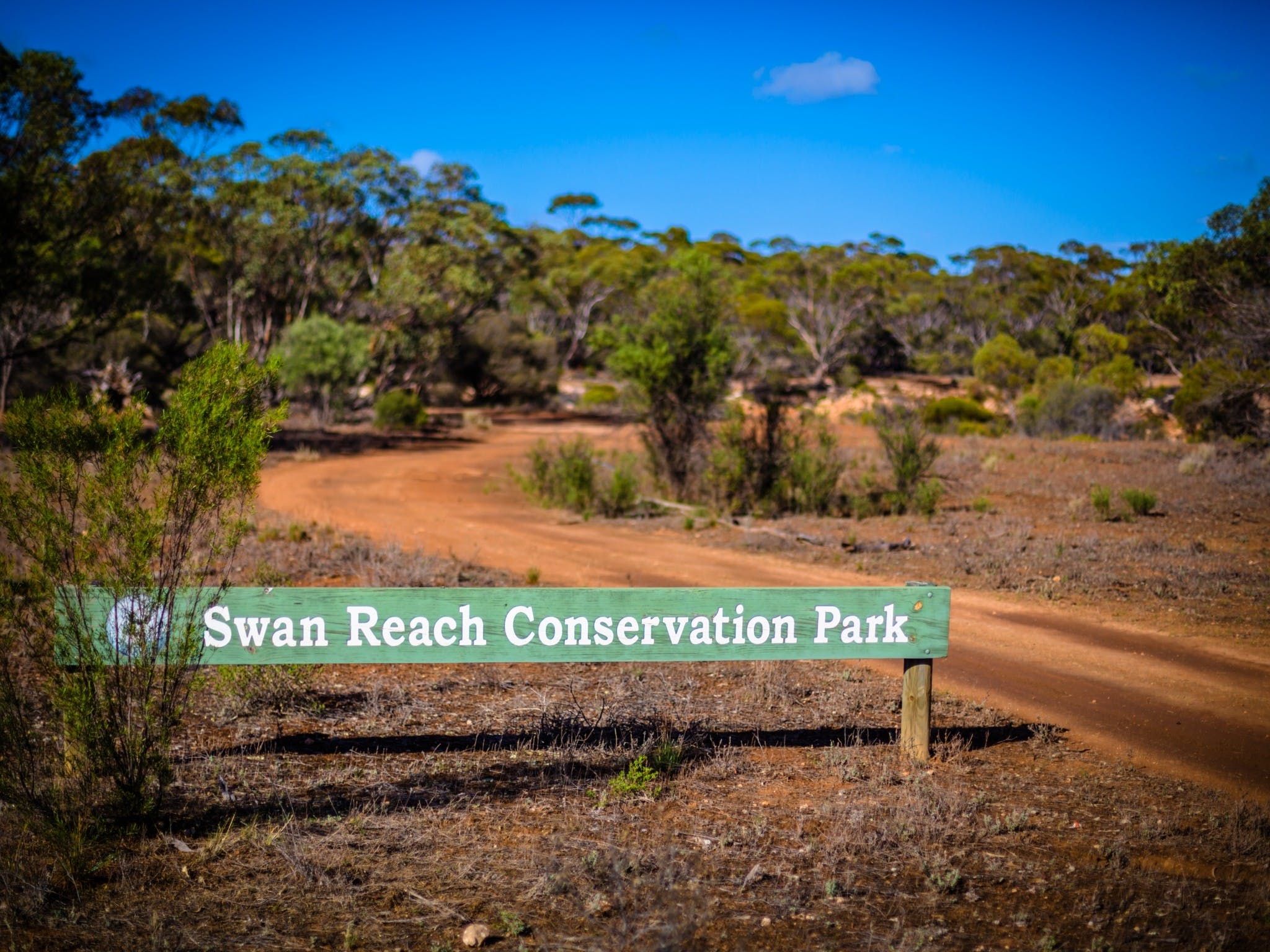 Swan Reach Conservation Park Campgrounds - Murray River Lakes and Coorong