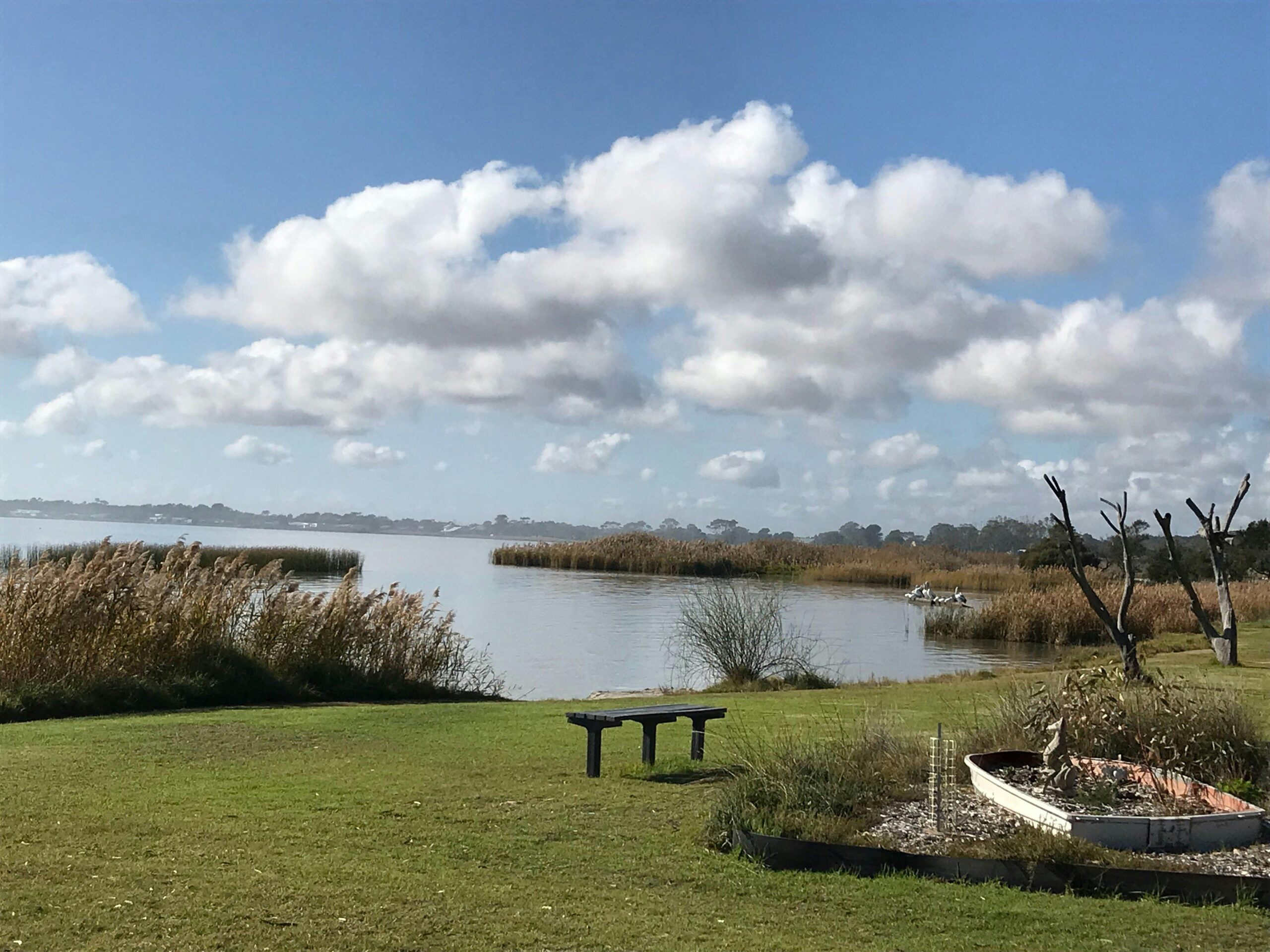Lake Albert Caravan Park - Murray River Lakes and Coorong